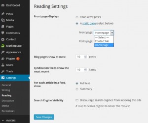 How to Create a Static Homepage for Your WordPress Blog - The Blog Starter